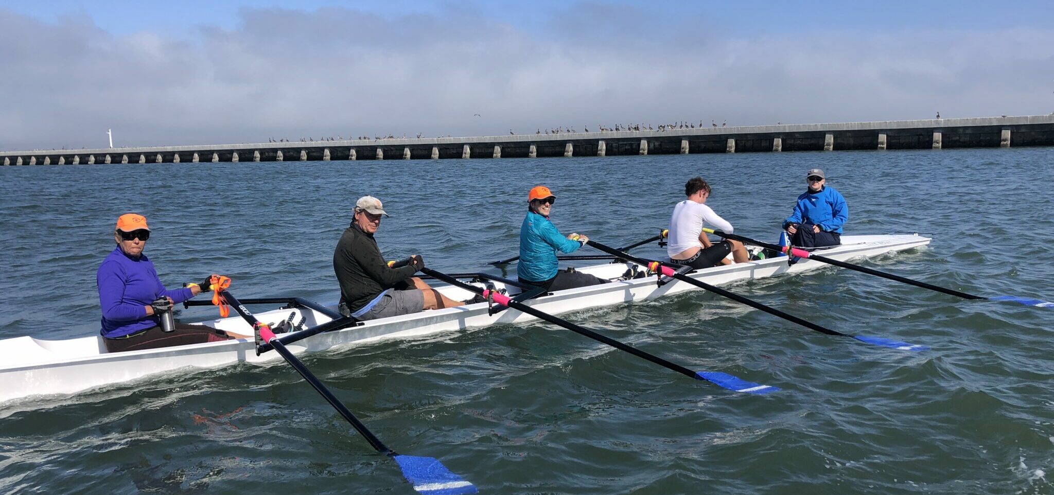 Coastal Quad - The Dolphin Club